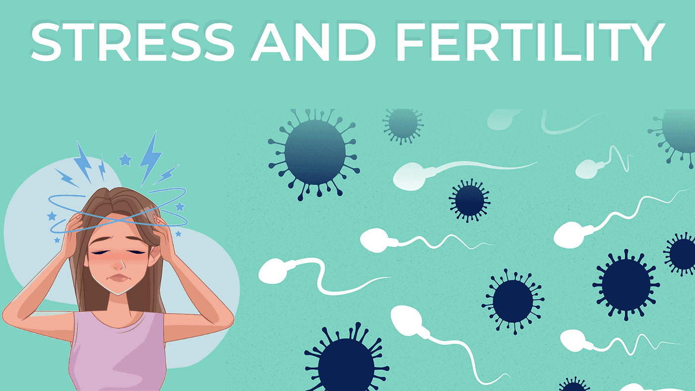 How Stress Impacts Fertility and Ways to Manage It - Dr Invitro